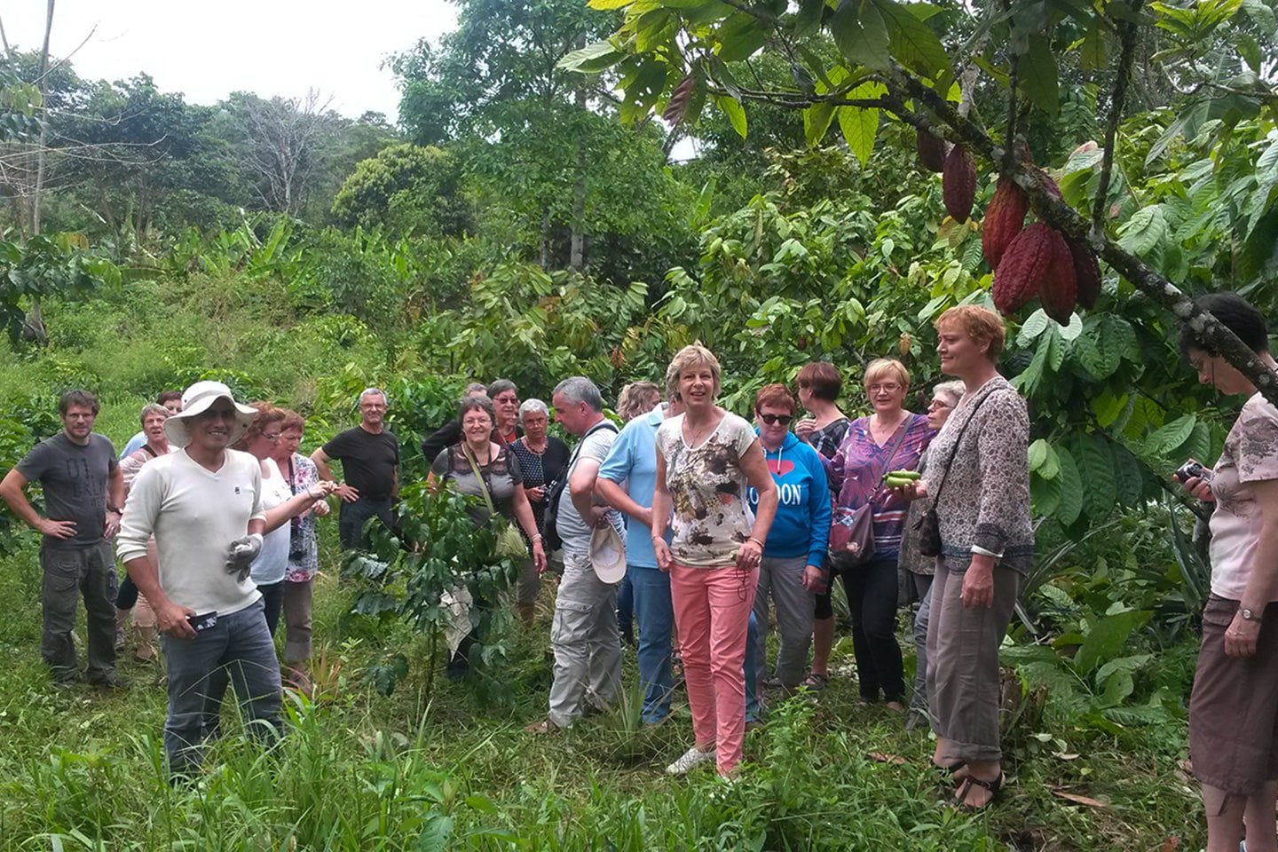 Un viaje a través del Cacao en Ecuador – Living Ecuador Travel